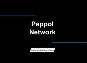 What is PEPPOL? | PEPPOL Germany, e-invoicing, network