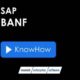 SAP BANF - Die besten Tipps zu Bestallanforderungen