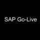 Successfully Mastering SAP Go-Live: Checklists, Support & Tips