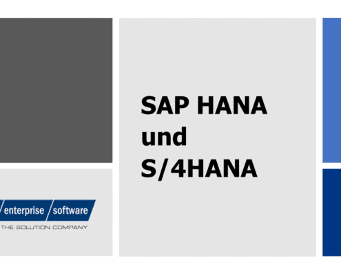 SAP Business Partner SAP S/4 HANA - How to get started!