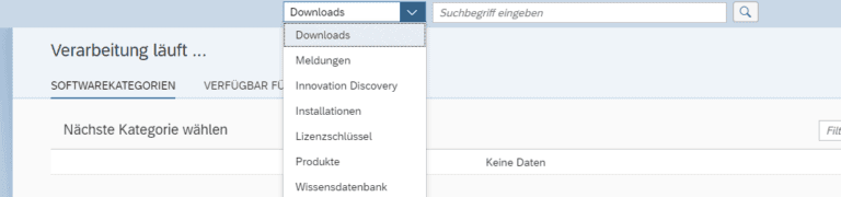 SAP GUI Download - SO einfach funktioniert es!